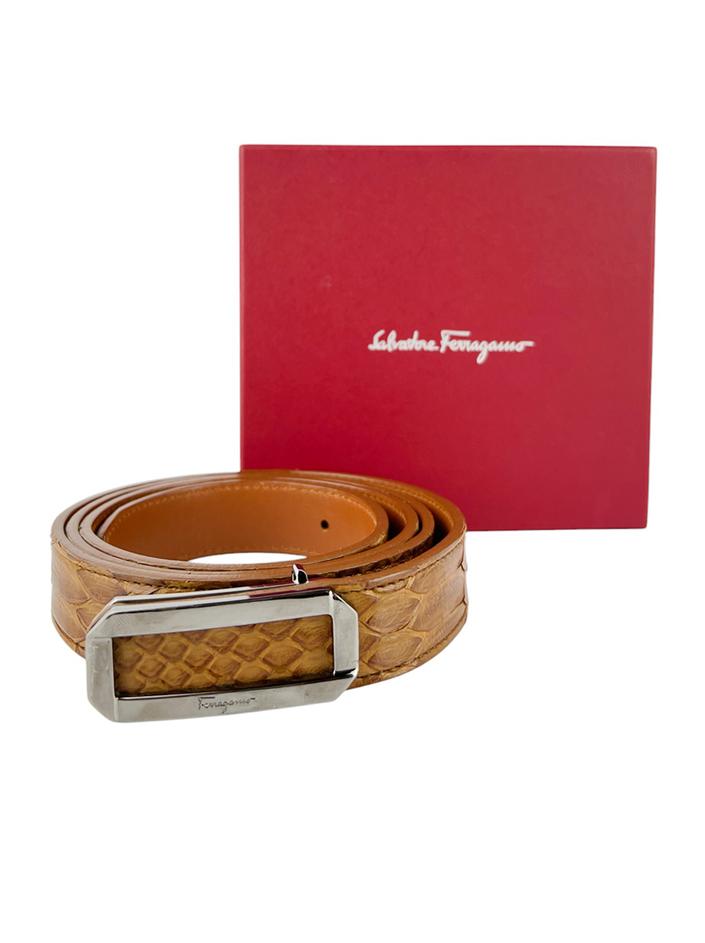 Cinto Salvatore Ferragamo Snake Marrom - DXF51 Original | Etiqueta Única