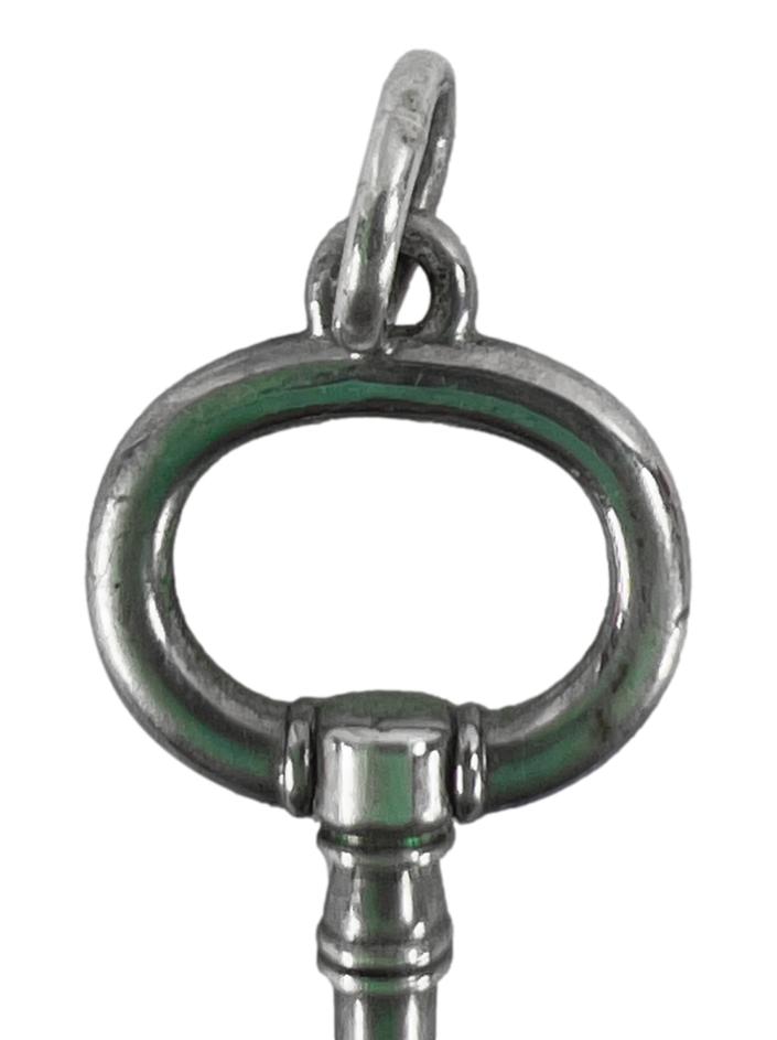 Pingente Tiffany & Co. Key Oval Prata - CVWI20 Original | Etiqueta Única